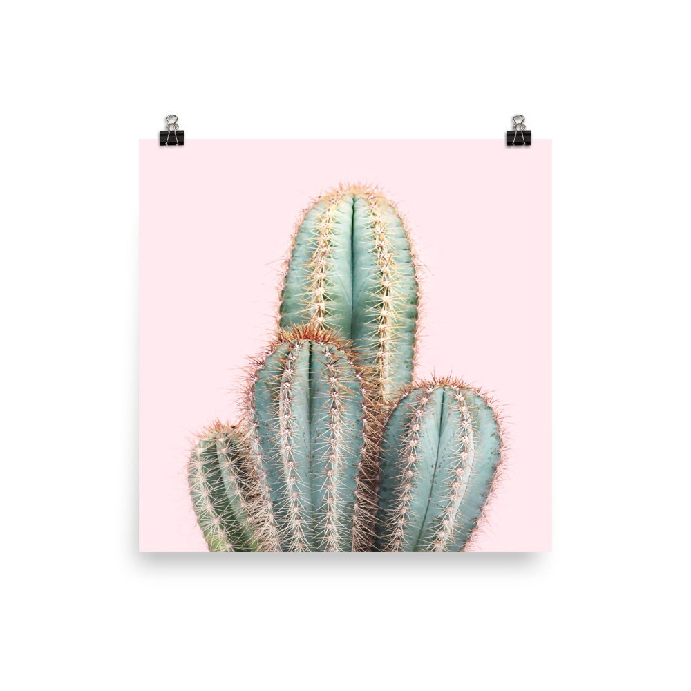 Pink Cactus Poster Art to Frame Green and Pink Boho | Etsy