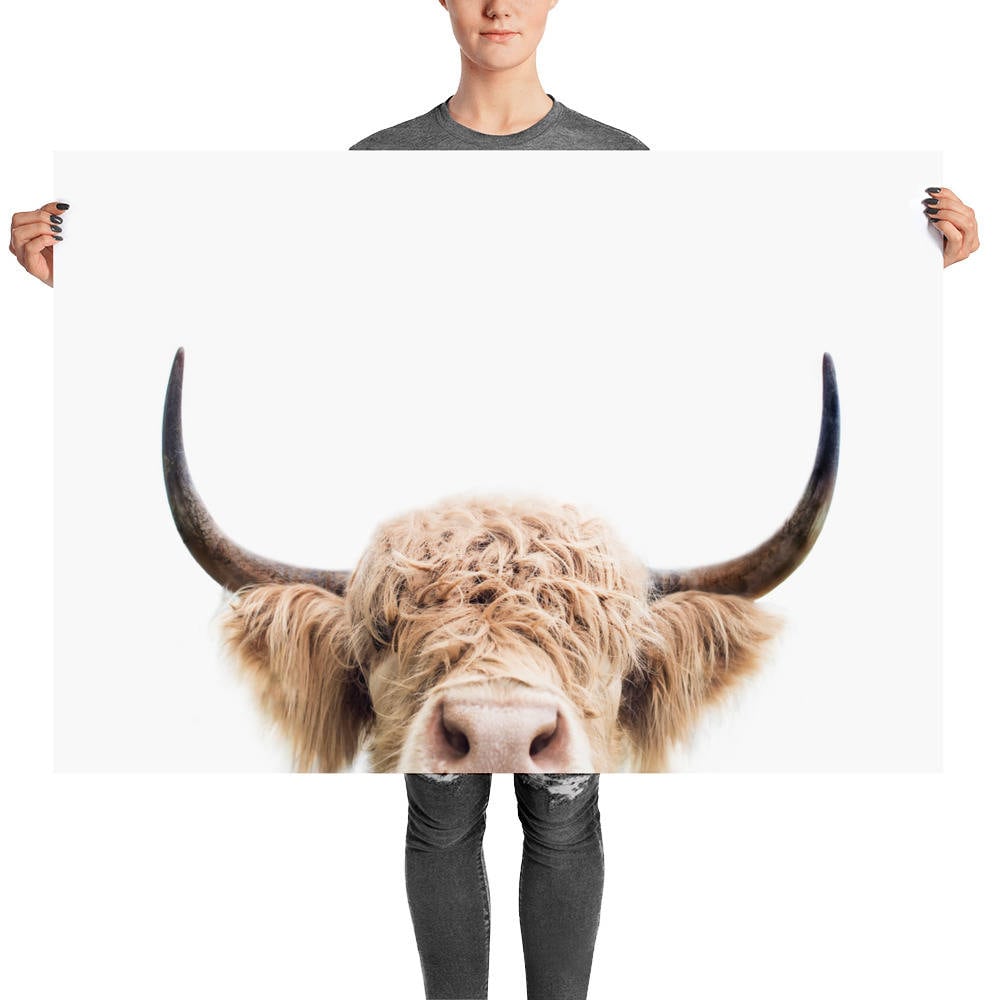 Highland Cow Poster, Peeking Cow Print, Farm Animal, Animal Wall Art ...
