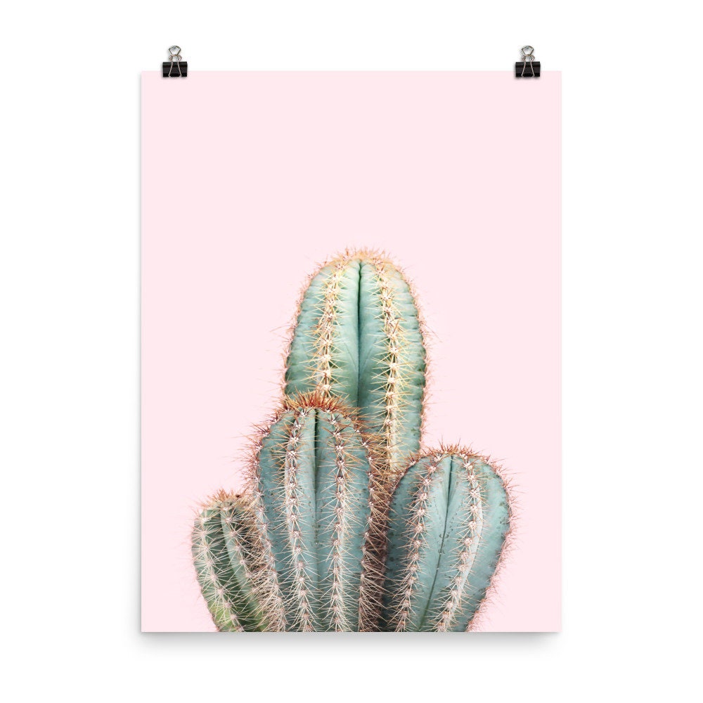 Pink Cactus Poster Art to Frame Green and Pink Boho | Etsy
