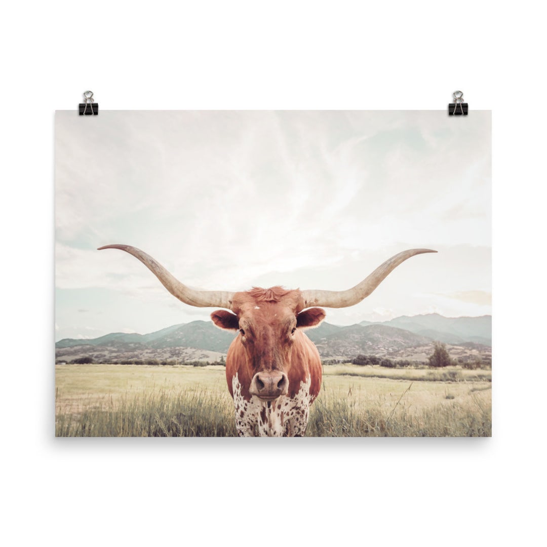 Longhorn Print, Longhorn Texas, Cow Print, Cow Poster, Horns Print ...
