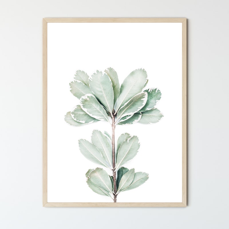 Plant Print - Etsy