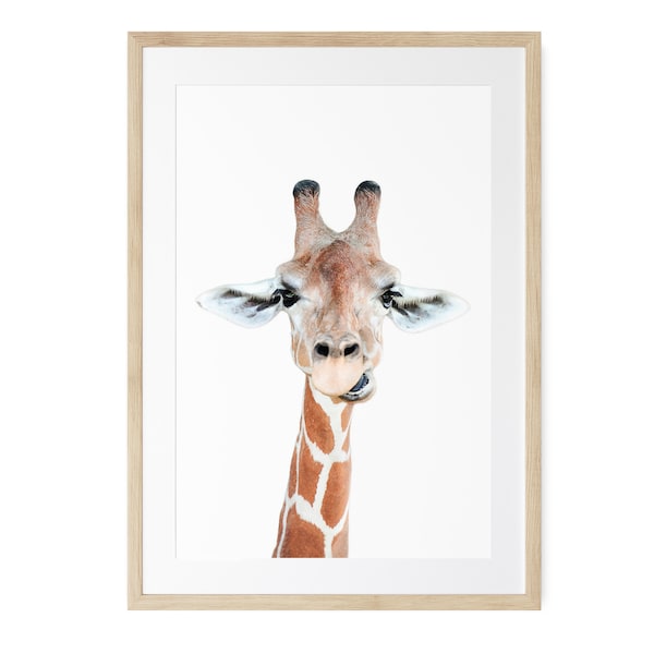 Modern Giraffe - Etsy
