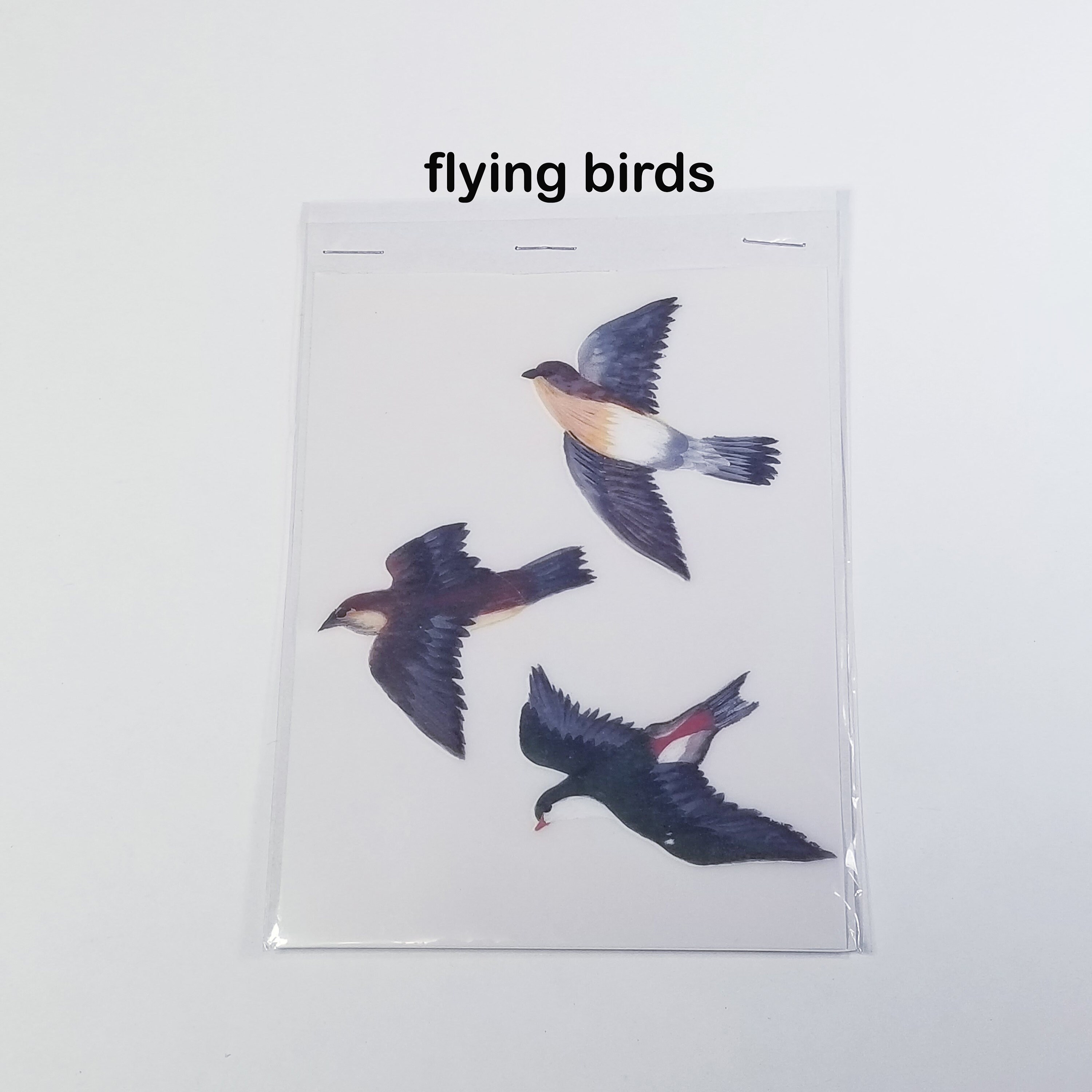Vintage Rub-on Nature Transfers, Rub-on Flowers, Birds, Leaves ...