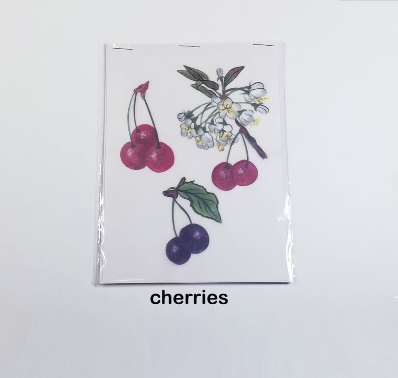 Vintage Rub-on Fruit Transfers, Rub-on Apple, Cherries, Pear, Plum ...