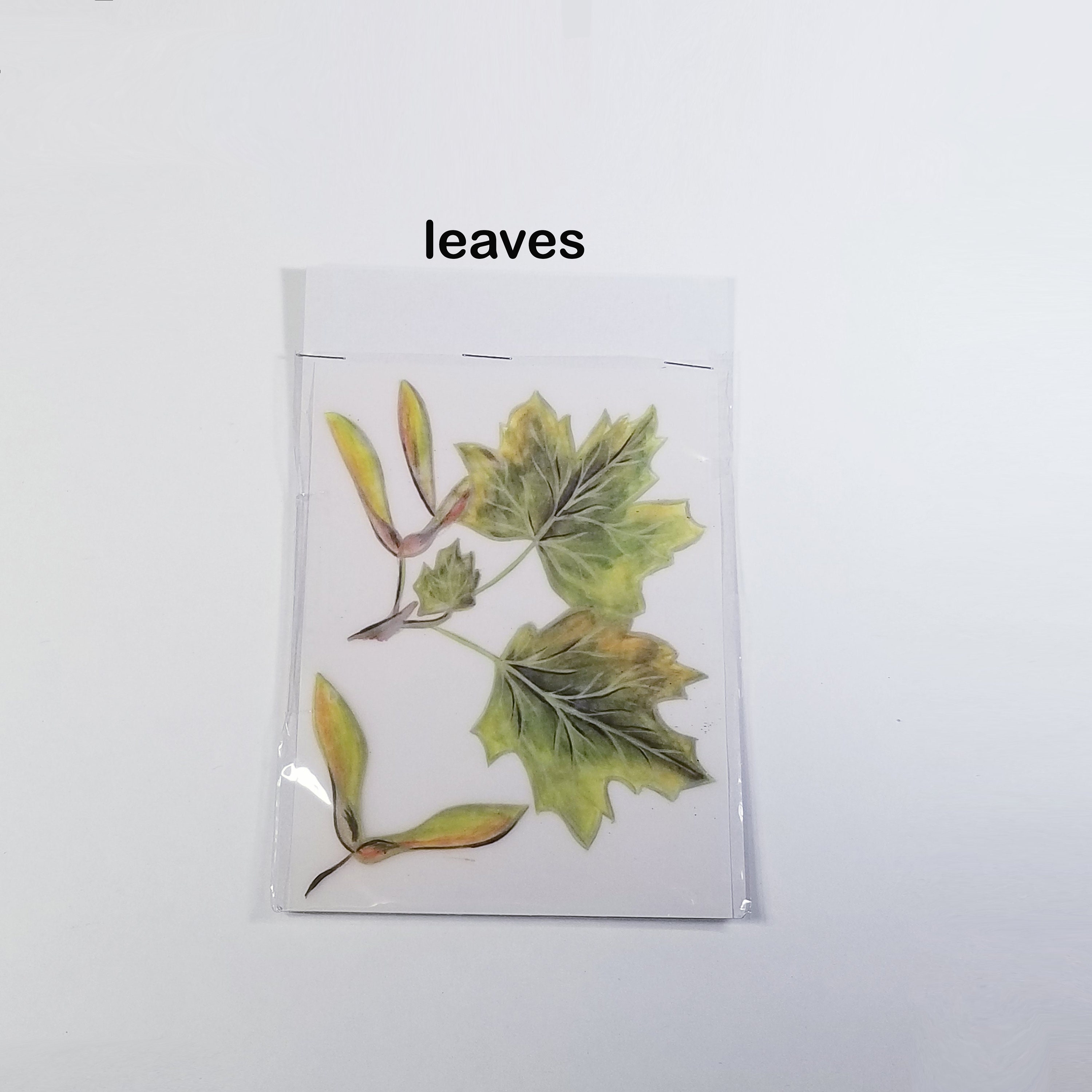 Vintage Rub-on Nature Transfers Rub-on Flowers Birds - Etsy