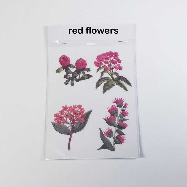 Vintage Rub-on Nature Transfers, Rub-on Flowers, Birds, Leaves ...