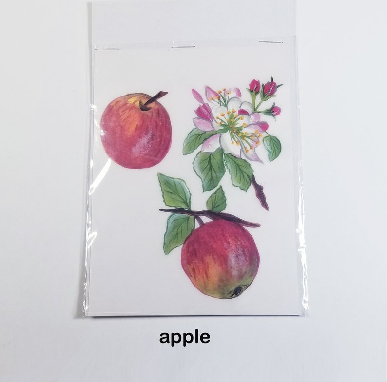 Vintage Rub-on Fruit Transfers, Rub-on Apple, Cherries, Pear, Plum ...