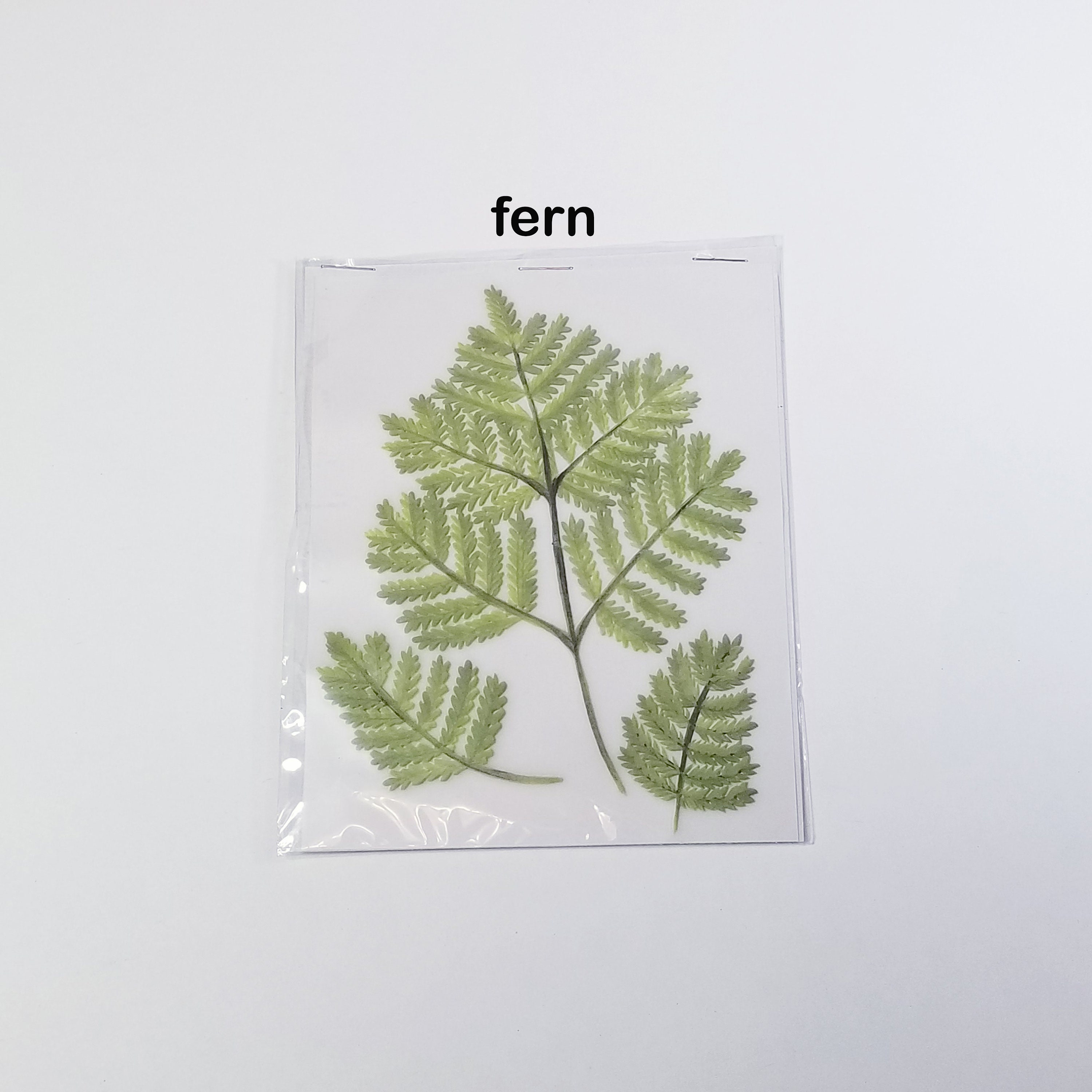 Vintage Rub-on Nature Transfers Rub-on Flowers Birds - Etsy