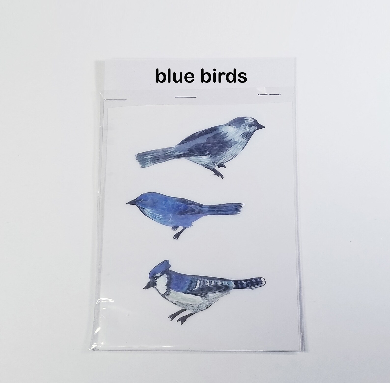 Vintage Rub-on Nature Transfers Rub-on Flowers Birds - Etsy