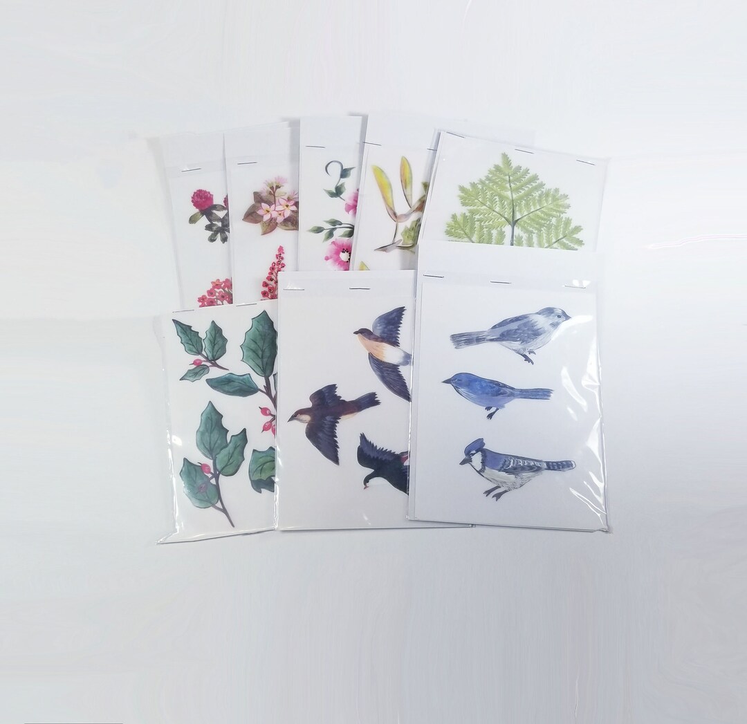Vintage Rub-on Nature Transfers, Rub-on Flowers, Birds, Leaves ...