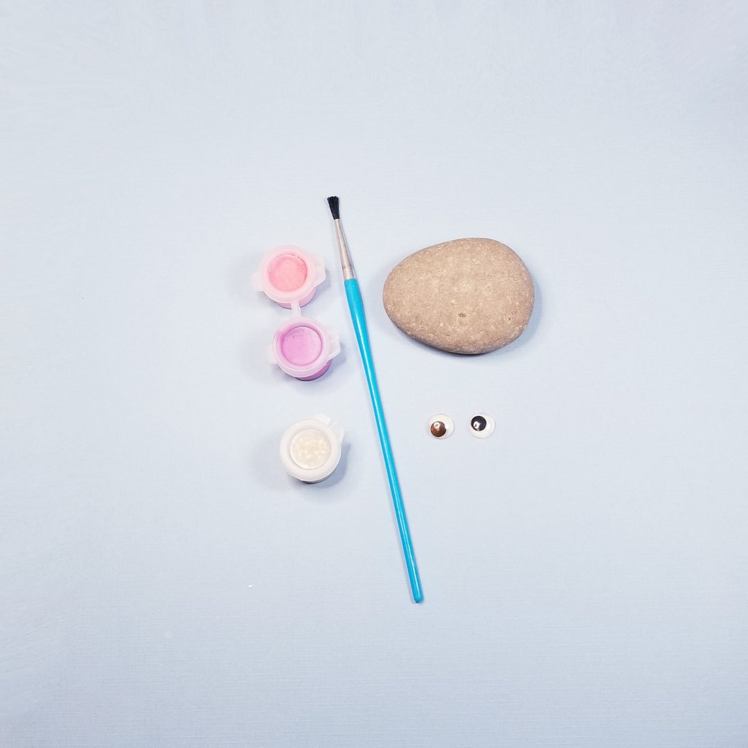 Rock With Googly Eyes Paint Your Own Craft Kit-pebble Paint Your Own ...