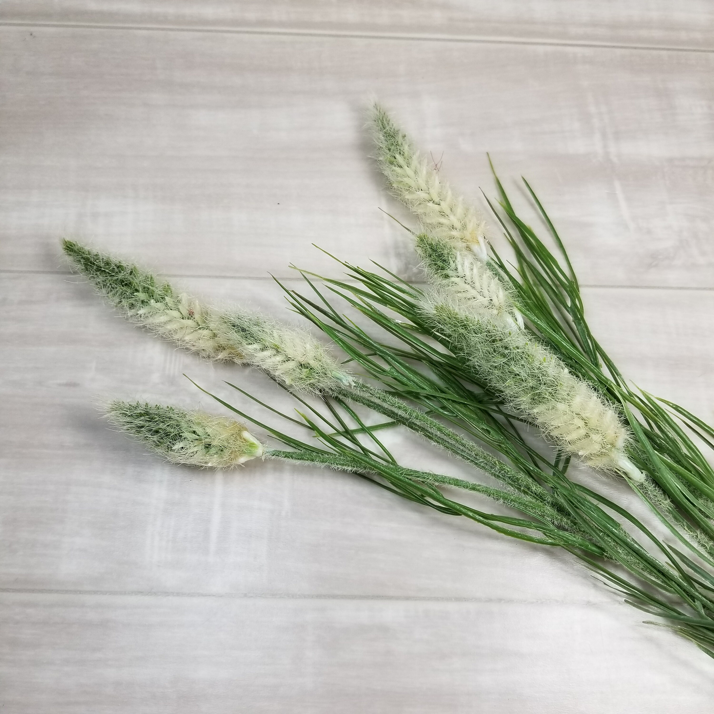 Artificial Bunny Tail Grass With Long Leaves Spray-lagurus Ornamental ...