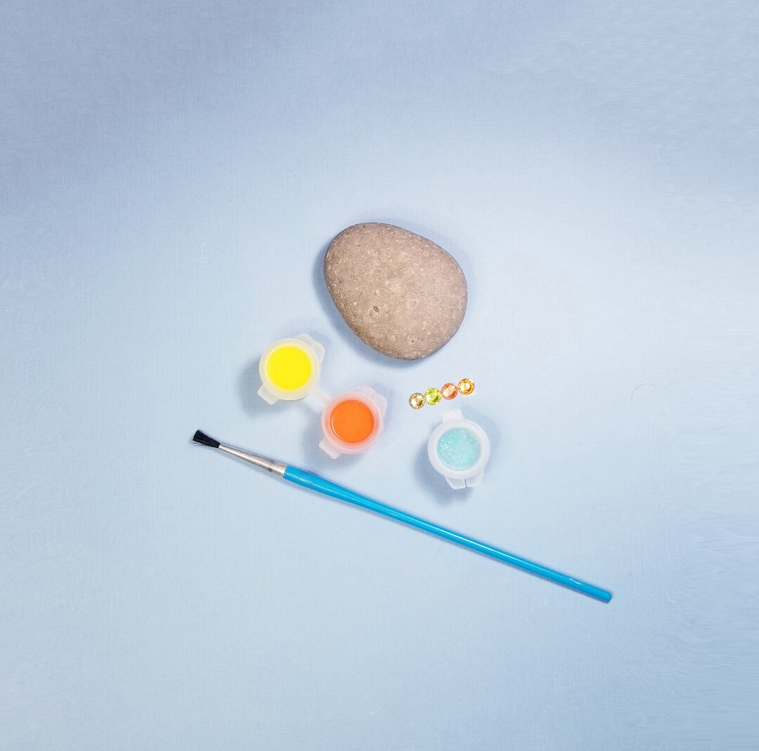 Rock With Gems Paint Your Own Craft Kit-pebble Paint Your Own-craft ...
