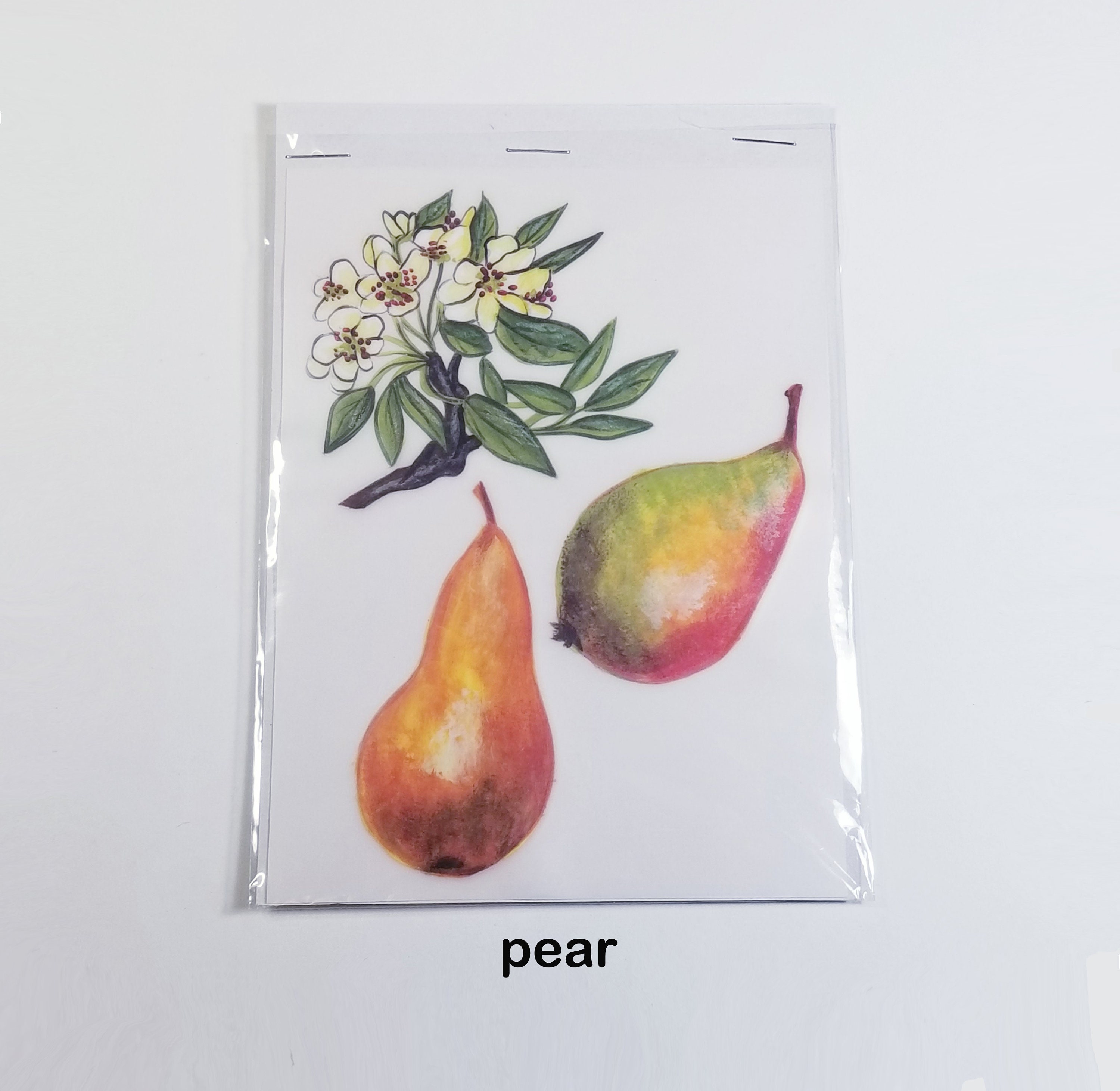 Vintage Rub-on Fruit Transfers, Rub-on Apple, Cherries, Pear, Plum ...