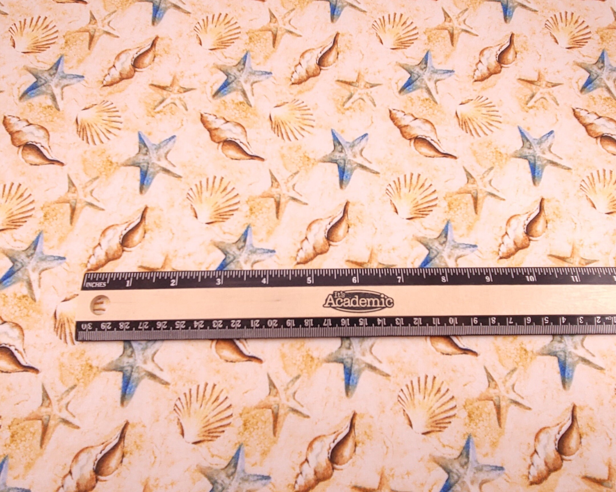 Sandy Beach Starfish and Seashells Beach Theme 100% - Etsy