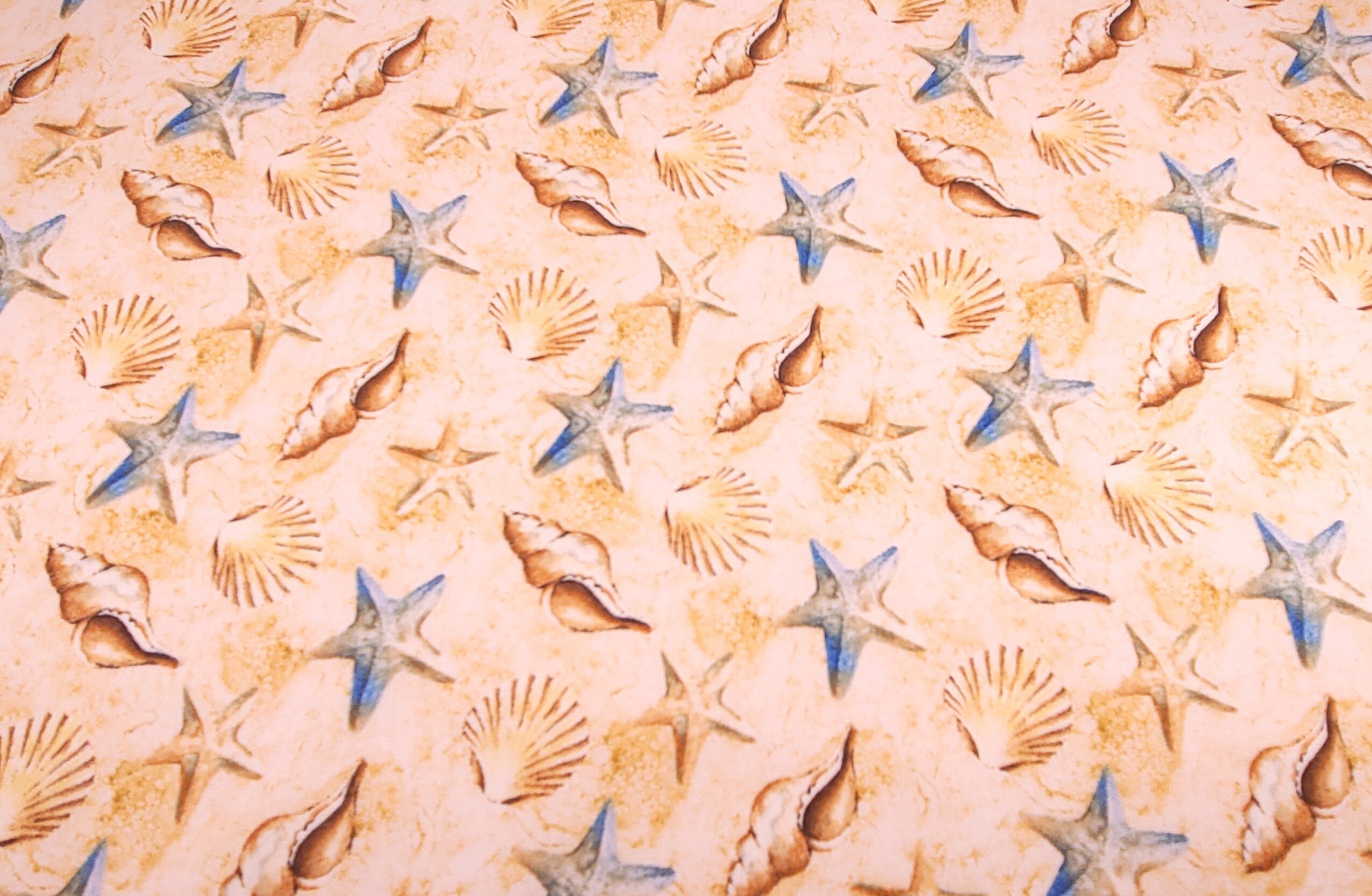 Sandy Beach Starfish and Seashells Beach Theme 100% - Etsy