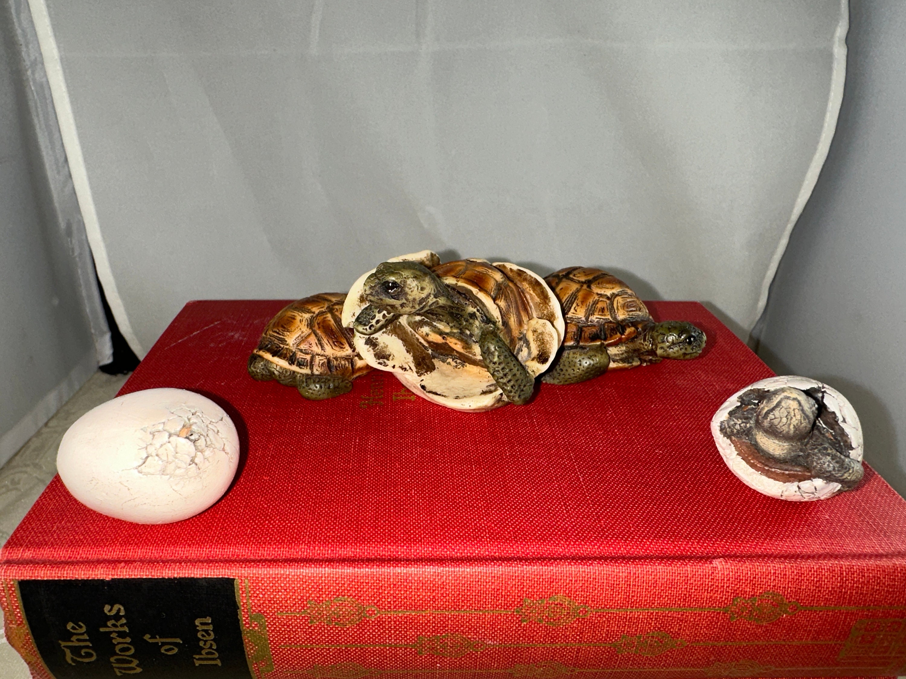 Castagna Hatching Tortoises Figurine and Two Unknown Maker Hatching Tortoises - Etsy