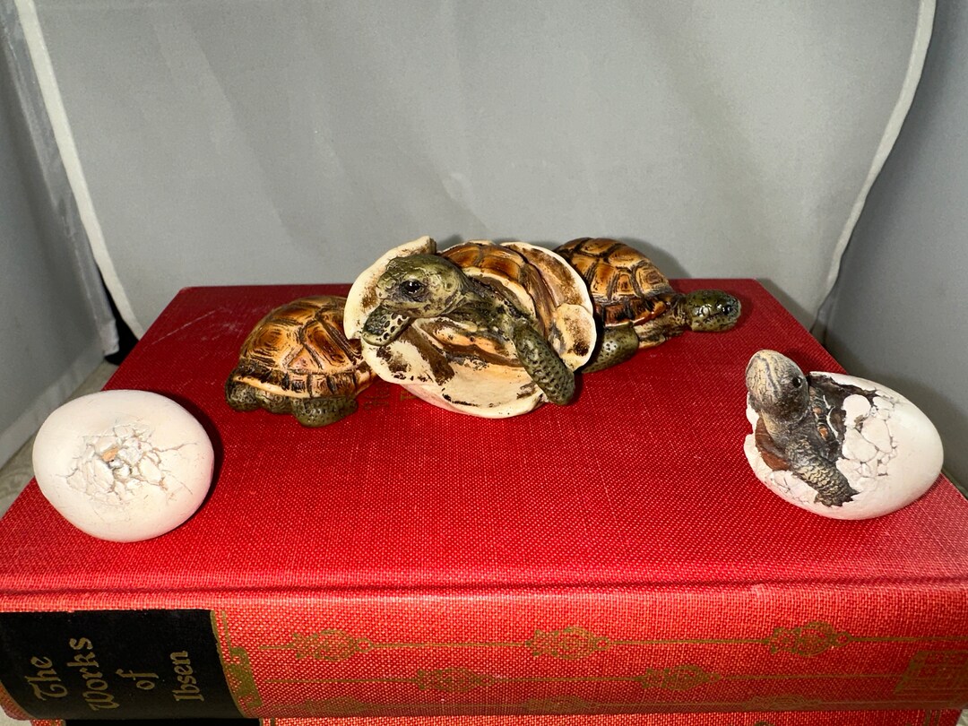 Castagna Hatching Tortoises Figurine and Two Unknown Maker Hatching Tortoises - Etsy