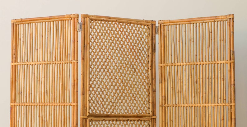 Handcrafted Cane Partition 3 Fold Cane Room Divider Rattan - Etsy