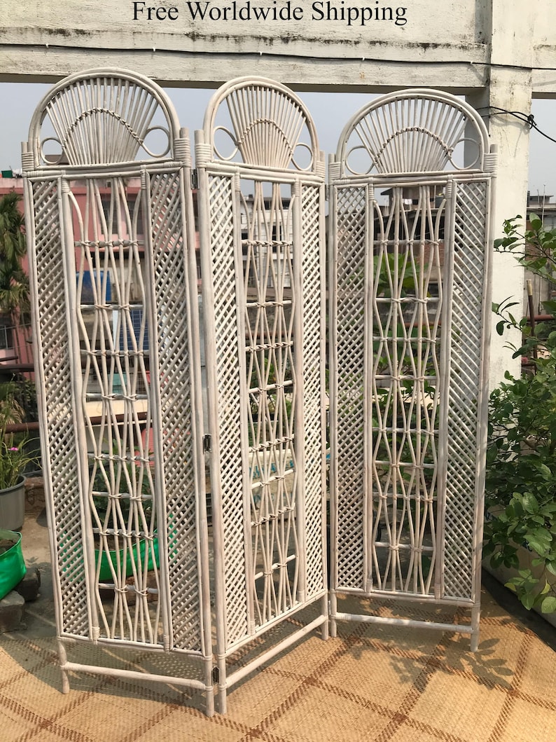 Handcrafted White Rattan Room Divider | Hand Painted Cane Partition ...