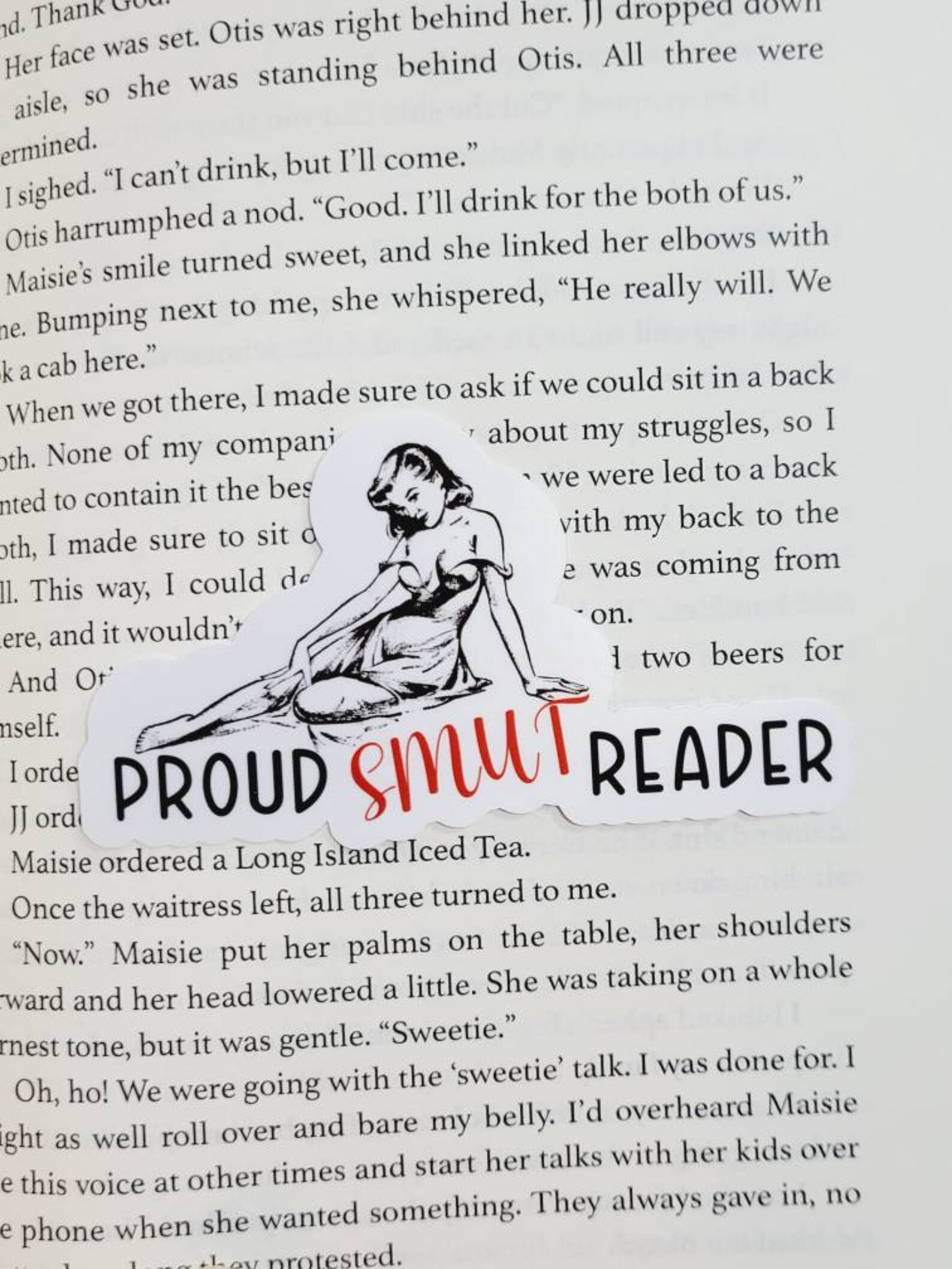 Book Related Stickers-smut Reader Sticker Bundle - Etsy