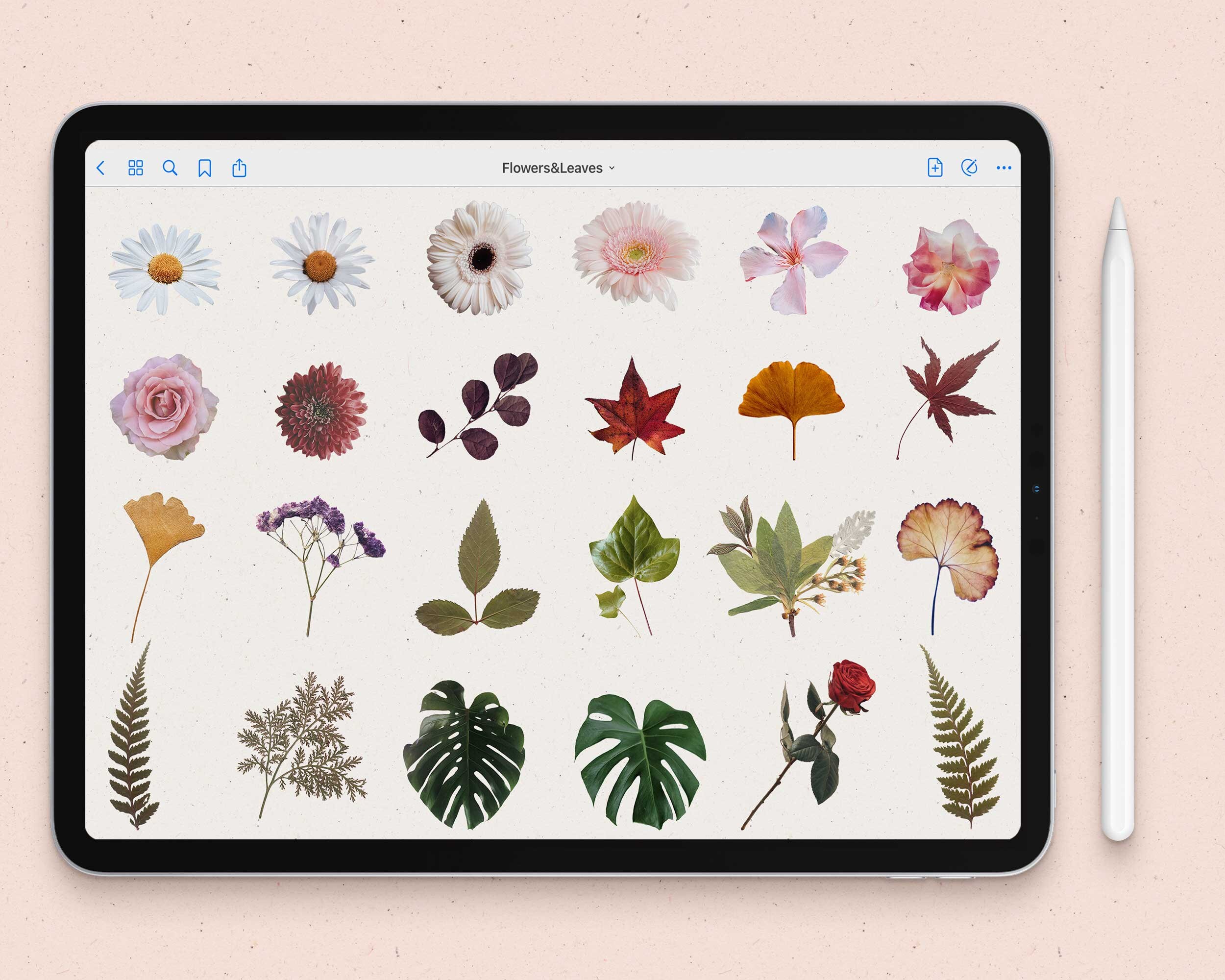 Flower Digital Stickers Floral Goodnotes Stickers Leaf | Etsy