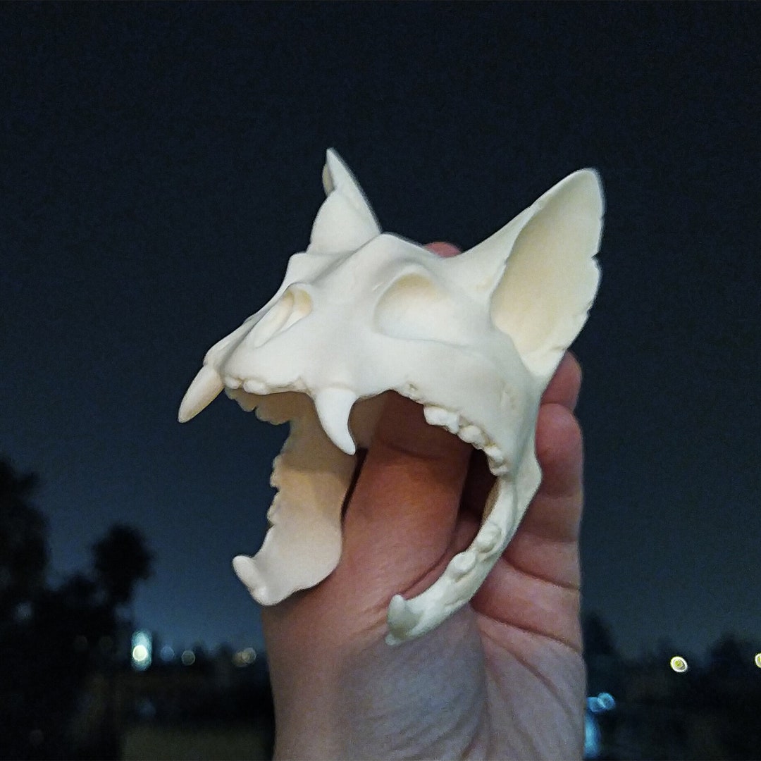 Wolf Scull Bjd 1/4 Doll Part - Etsy