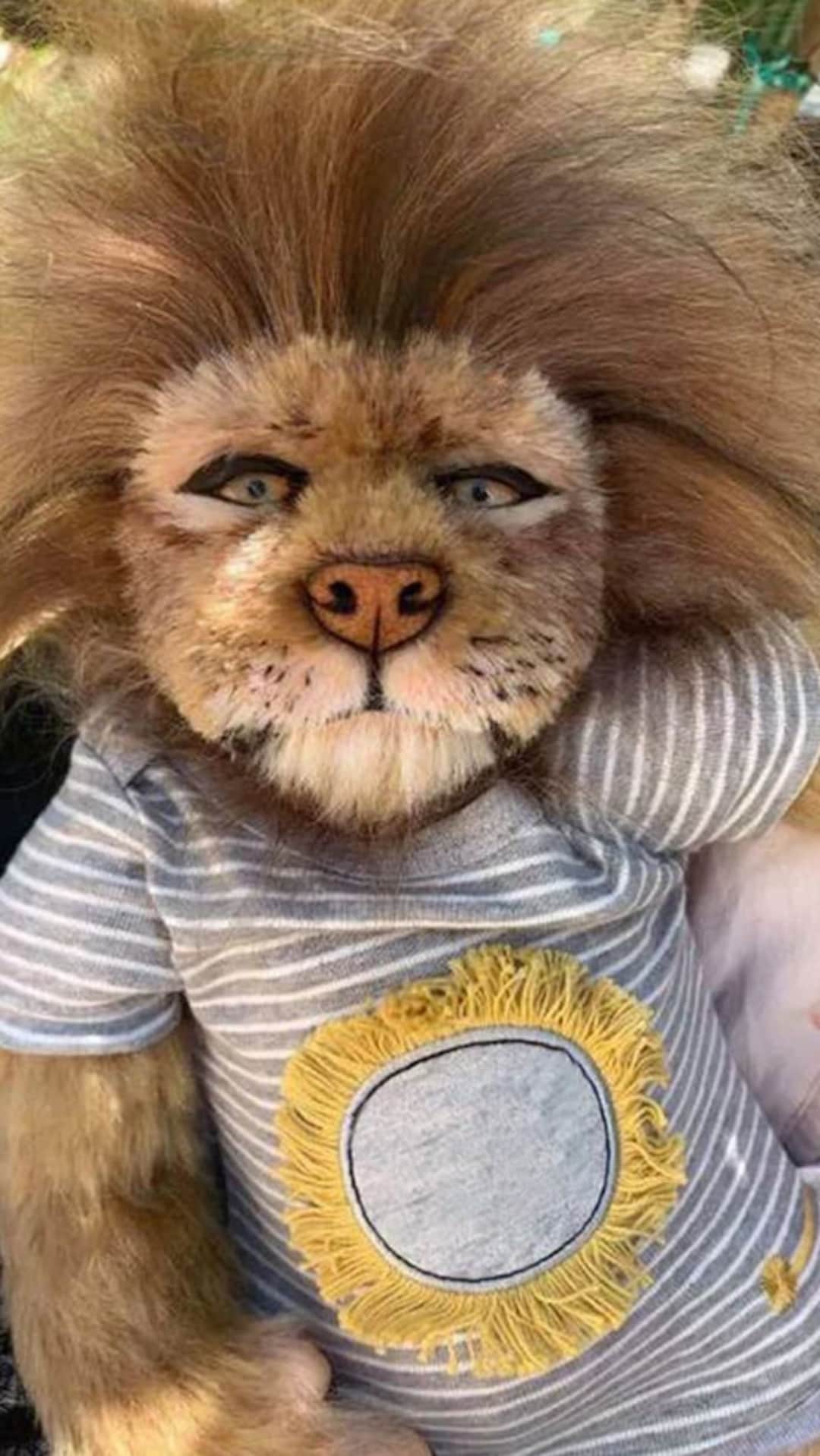 Reborn Lion Doll Animal Reborn Doll Dog Reborn Lion Reborn Doll - Etsy