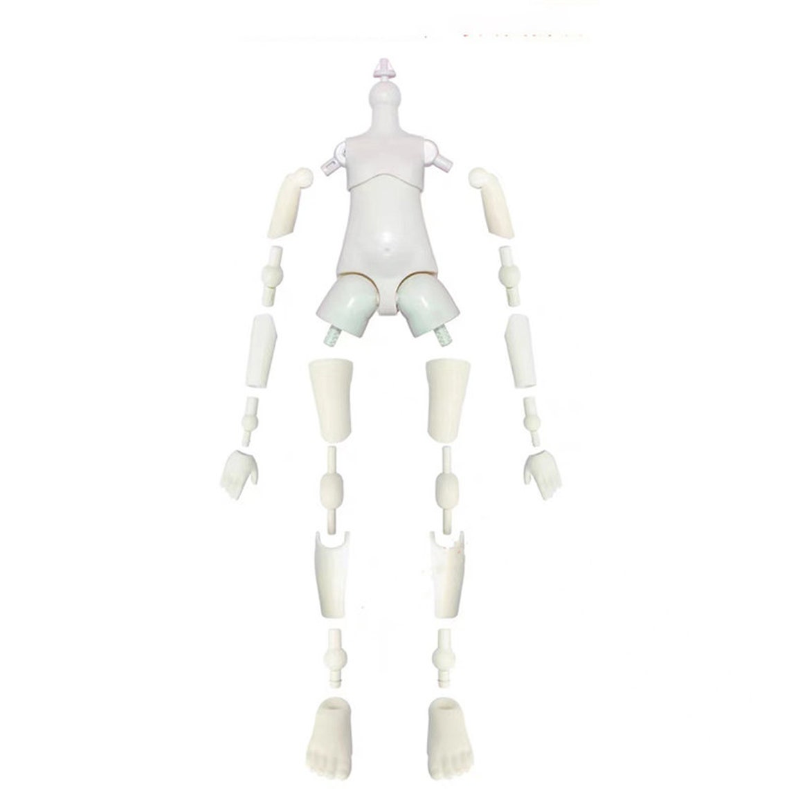 Bjd Doll 1/6 Mechanical Joint Body Blank for Beginner - Etsy