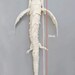 Mermaid Bjd Doll 1/4 Ball Jointed Resin Doll Blank Doll - Etsy