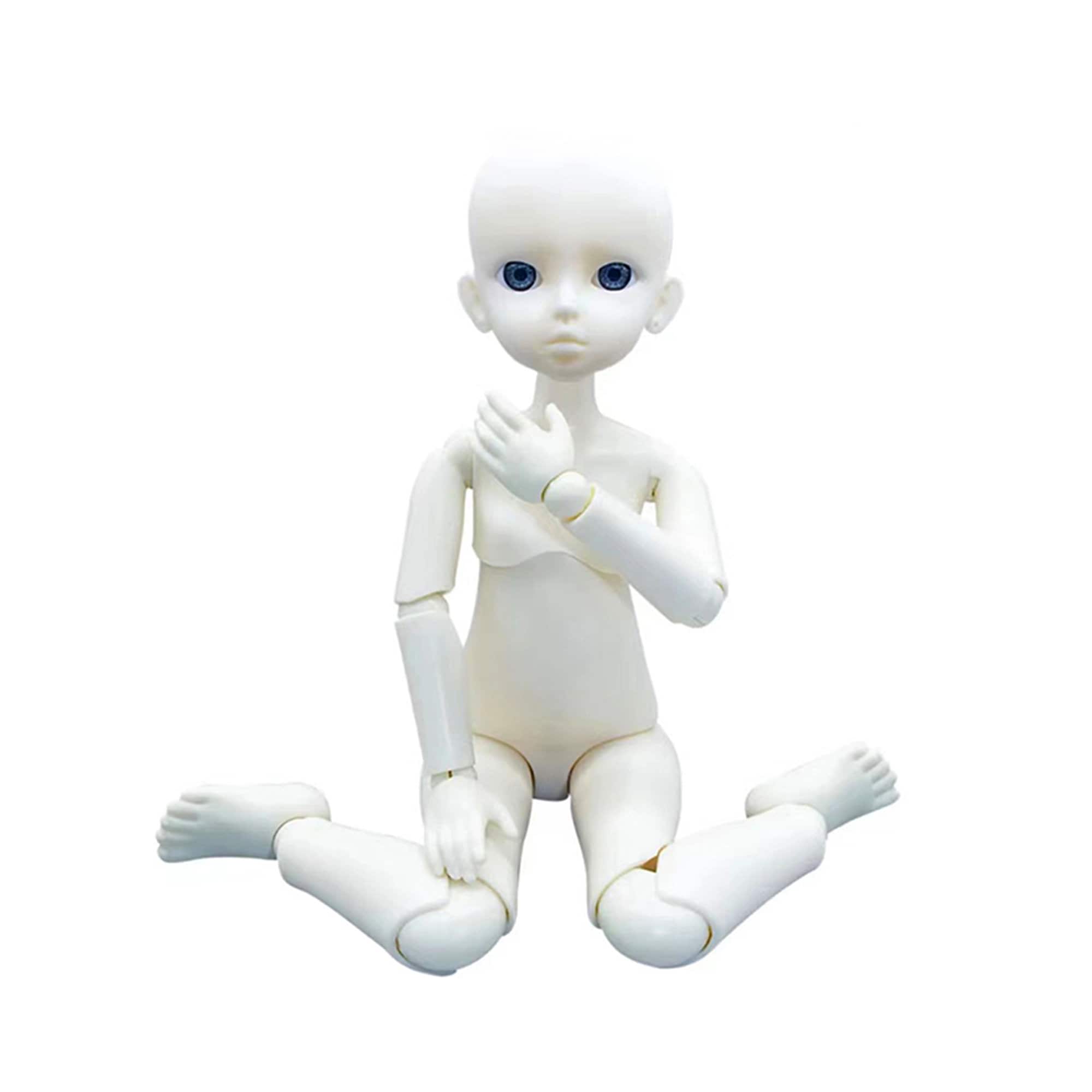 Bjd Doll 1/6 Mechanical Joint Body Blank for Beginner - Etsy