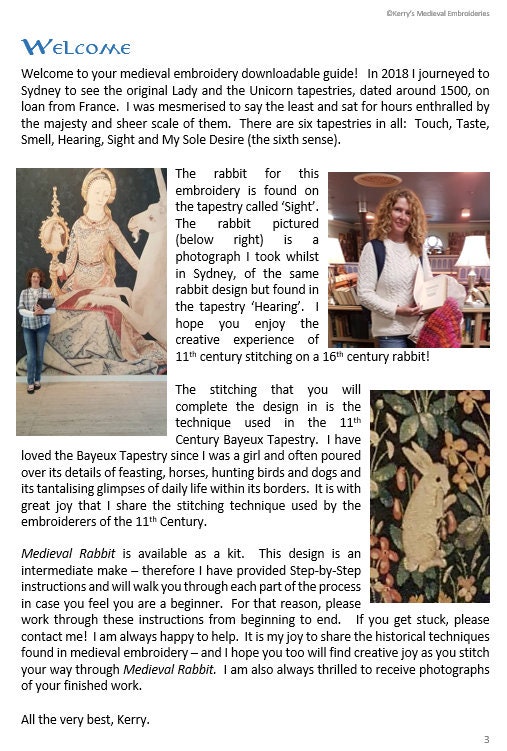 Medieval Rabbit PDF Embroidery Pattern and Instructions - Etsy