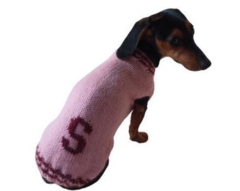 Personalized Dog Sweater With Initials Dog Clothes With | Etsy