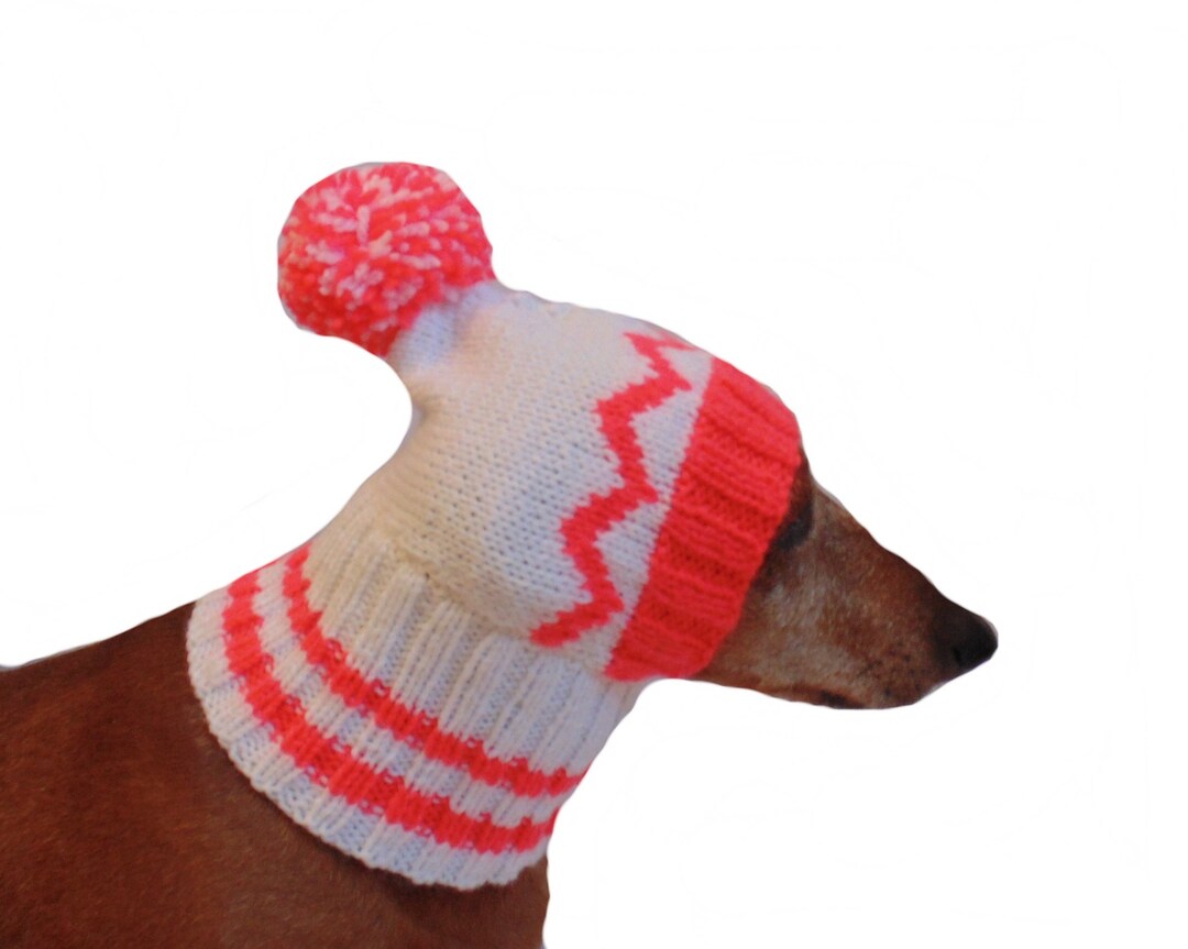 Printed Dog Hat With Pom-pom, Handmade Pet Clothing Warm Winter Beanie ...
