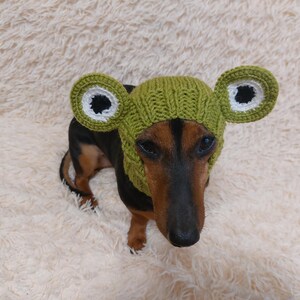 Crocheted Wool Blend Frog Hat for Pet Costume - Dog Photo Prop - Etsy