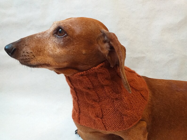 Dachshund or Small Dog Scarf Snood - Etsy
