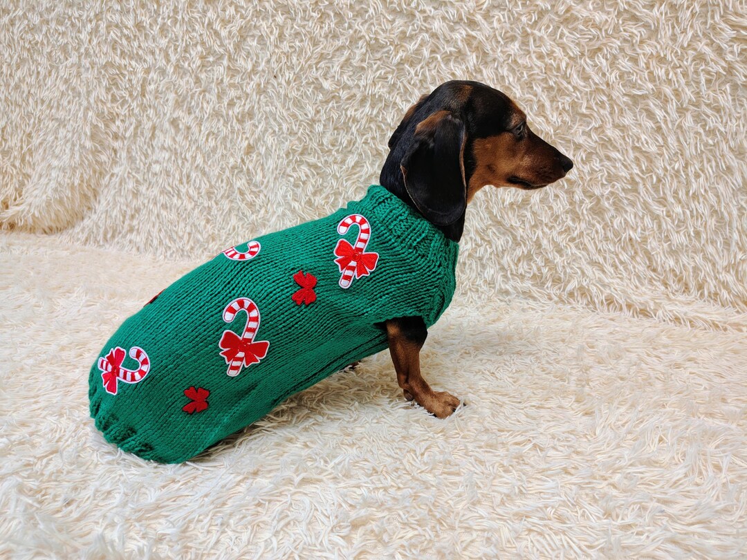 Santa Tick and Bows Christmas Sweater for Dog Bright Festive Costume ...