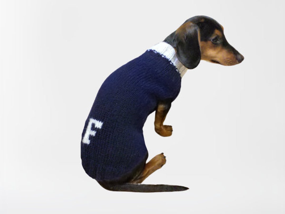 Personalized Dog Sweater With Initials Dog Clothes With - Etsy