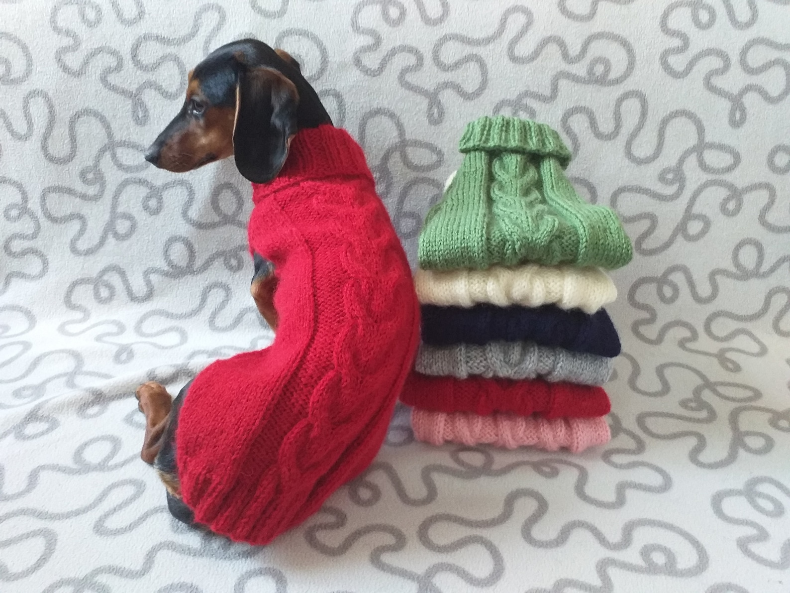 Handmade knitted winter wool coat for dachshund or small dog | Etsy