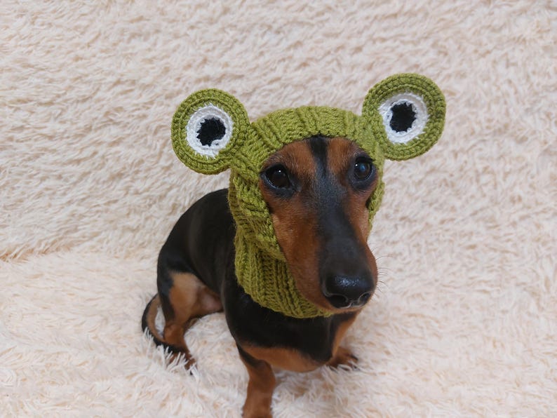 Crocheted Wool Blend Frog Hat for Pet Costume - Dog Photo Prop - Etsy