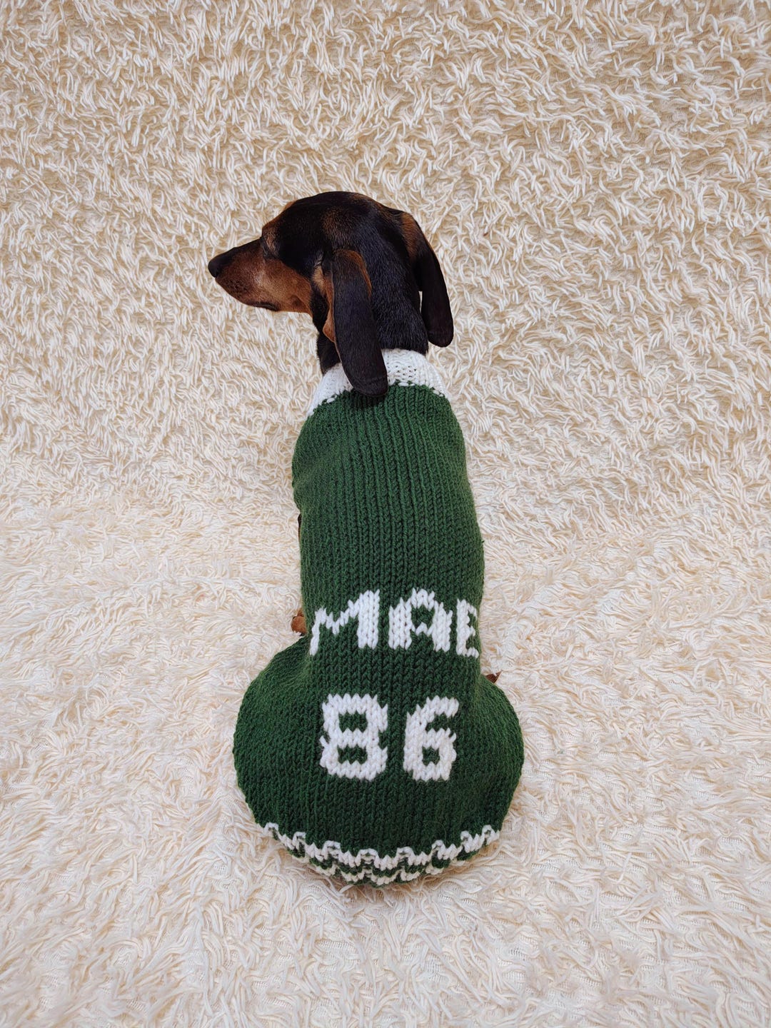 Personalized Dog Sweater With Initial, Letter, and Number of Name ...