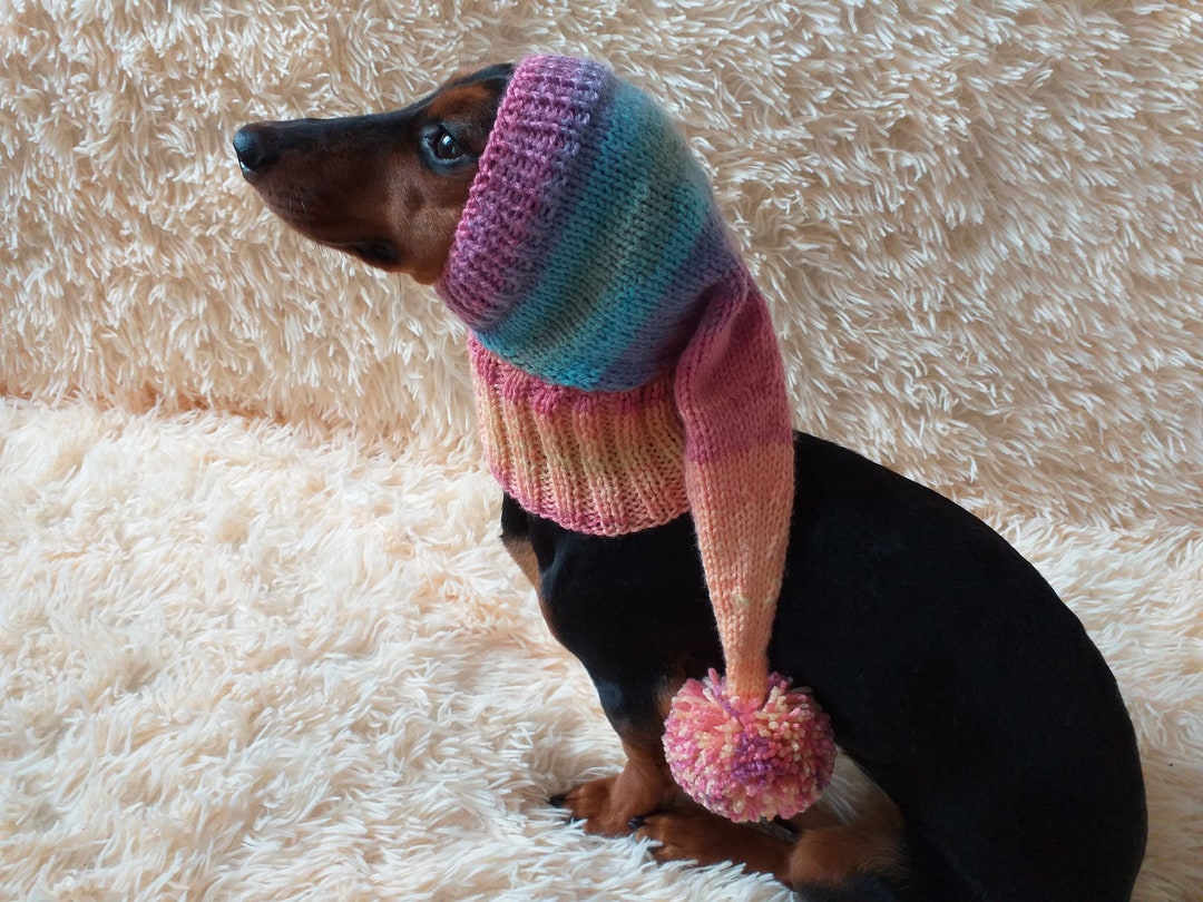 Winter Christmas Clothes for Dogs Knitted Hat With Pompon, Doxie ...
