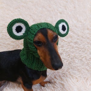 Crocheted Wool Blend Frog Hat for Pet Costume - Dog Photo Prop - Etsy