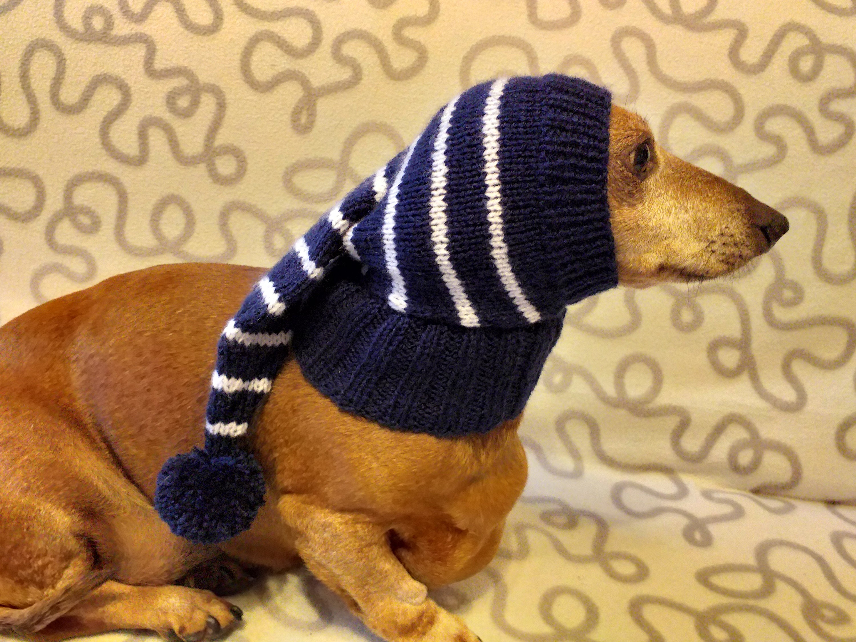 Winter Christmas clothes for dogs knitted hat with pompon | Etsy