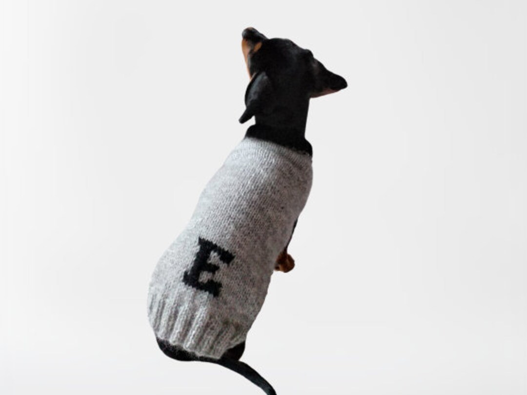 Personalized Dog Sweater With Initials, Dog Clothes With Letter of Name ...