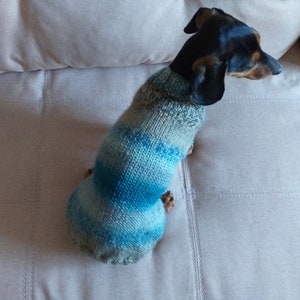 Warm Coat for Wiener Dog, Miniature Dachshund Knitted Jumper, Dachshund ...