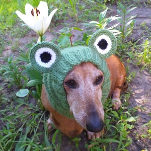 Snood Hat for Dog Frog, Dachshund Snood Frog - Etsy