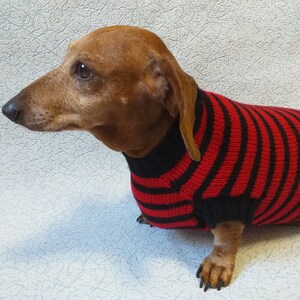 Red With Black Stripes Dog Knitted Sweater, Clothes for Dachshund ...