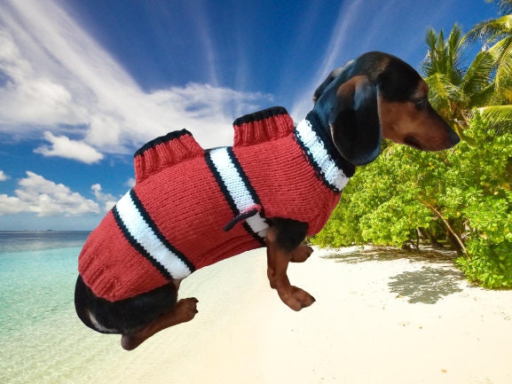 Fish Costume for Dog Sweater Sweater Fish for Dogs Clothes - Etsy