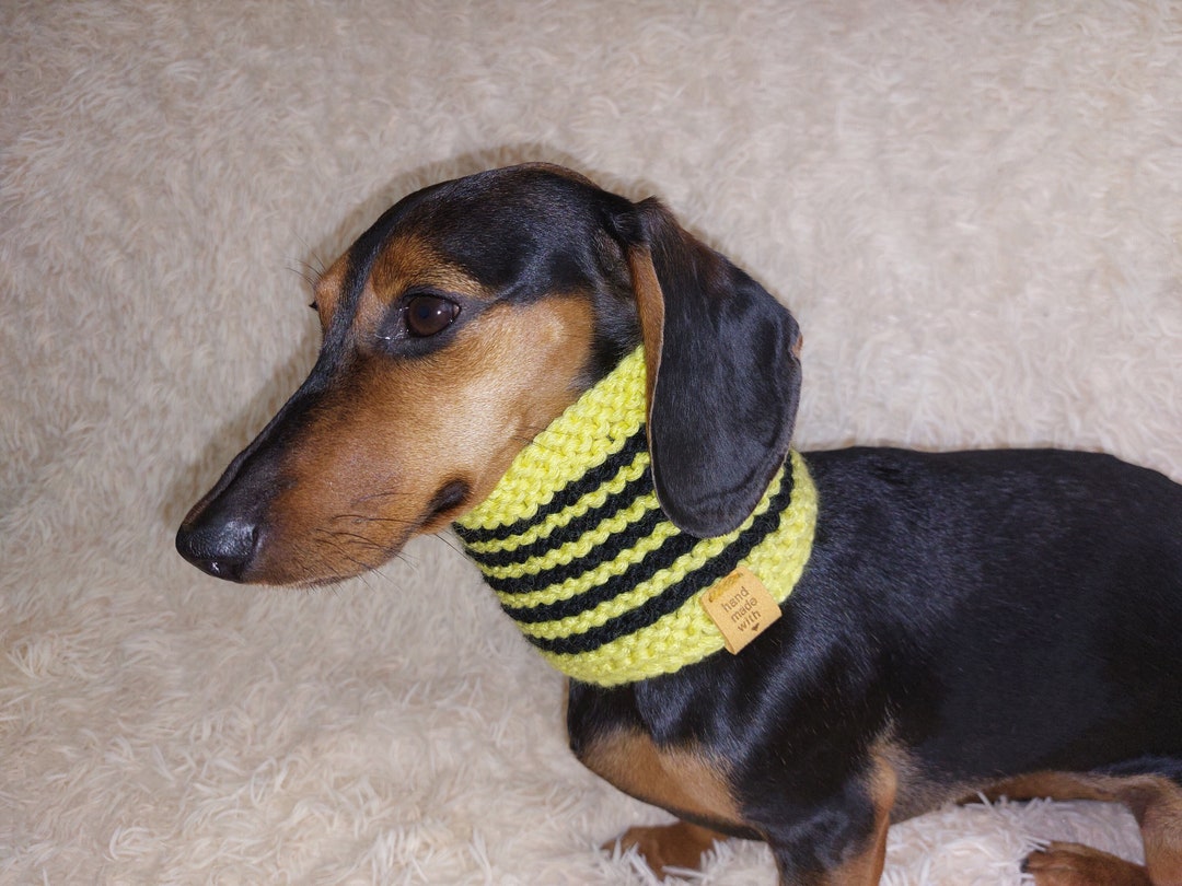 Halloween Bee Warm Winter Woolen Snood for a Dog - Warm Snood for a Dog ...